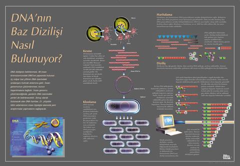DNA'nın Baz Dizilişi Nasıl Bulunuyor? | Bilim Teknik